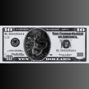 Editable 100 Dollars Image, Transparent Hundred Dollar Image ...