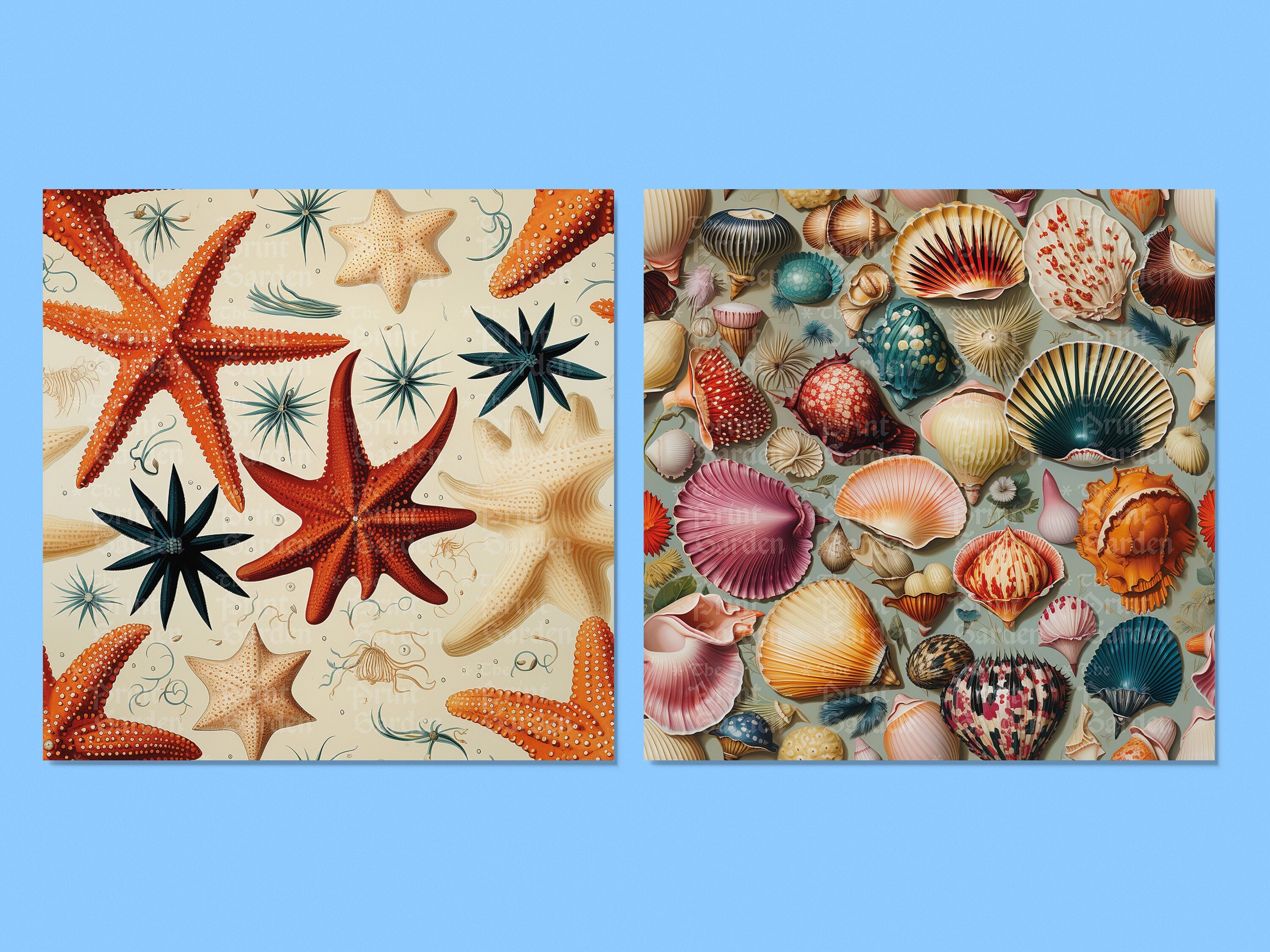 Shell Collection 12 Seamless Digital Papers Ocean Pattern Sheets ...