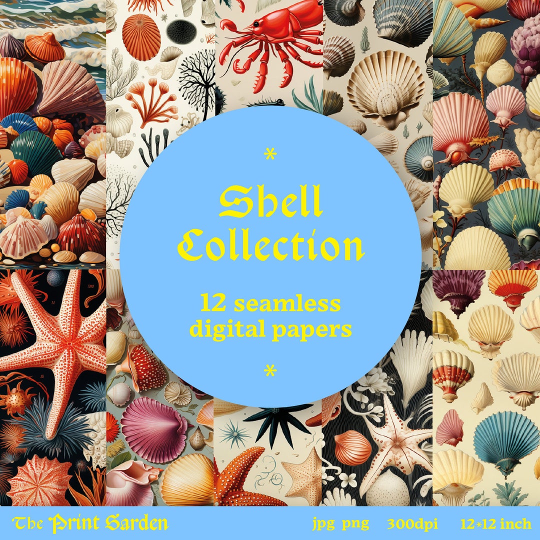 Shell Collection 12 Seamless Digital Papers Ocean Pattern Sheets ...