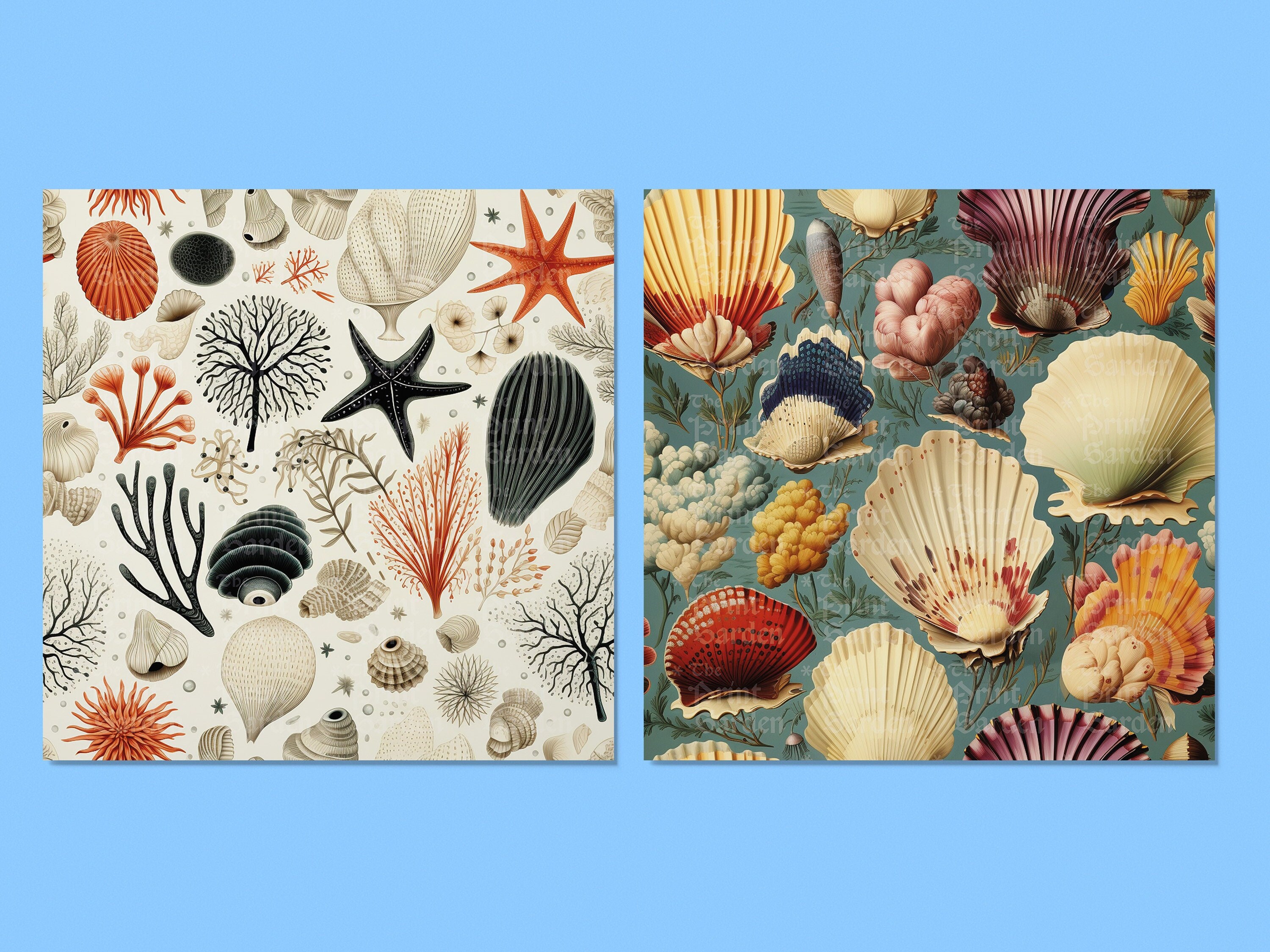 Shell Collection 12 Seamless Digital Papers Ocean Pattern Sheets ...