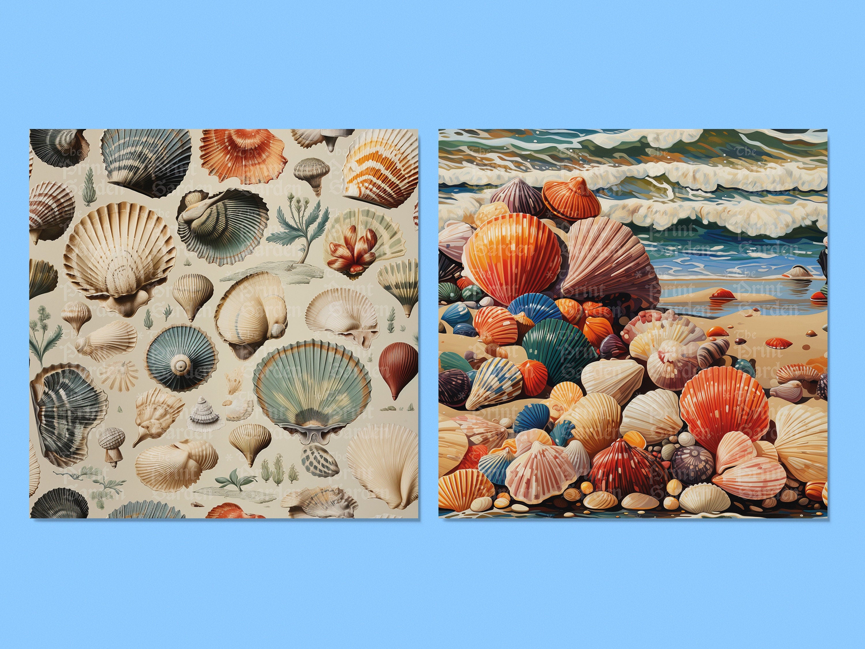 Shell Collection 12 Seamless Digital Papers Ocean Pattern Sheets ...