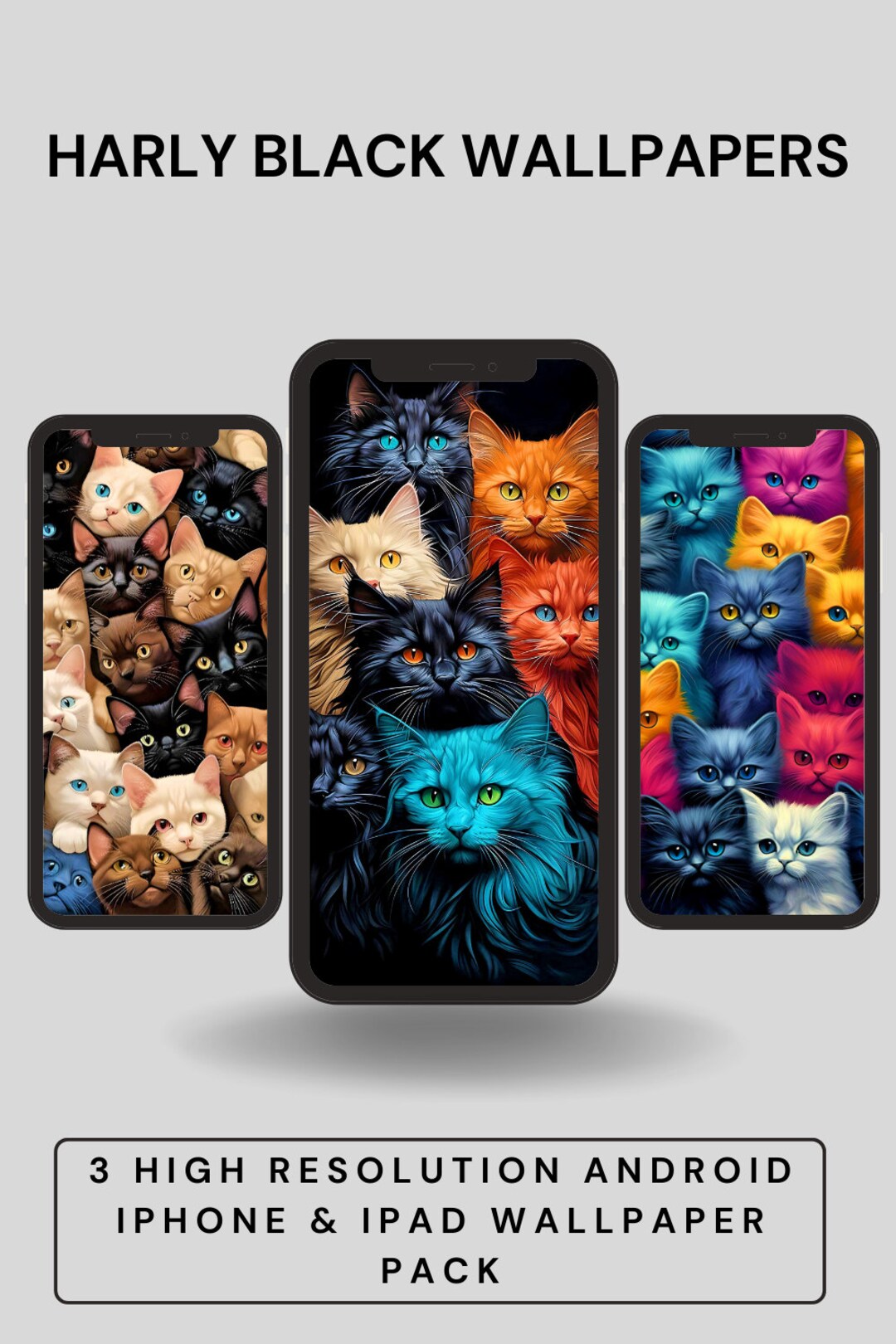 Android, iPhone iPad Wallpaper - 3 High Resolution Cat Images ...