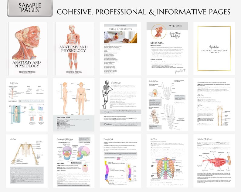 Anatomy and Physiology Training Manual, Editable A&P Course (digital ...