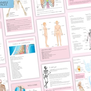 Anatomy and Physiology Training Manual, Editable A&P Course (digital ...