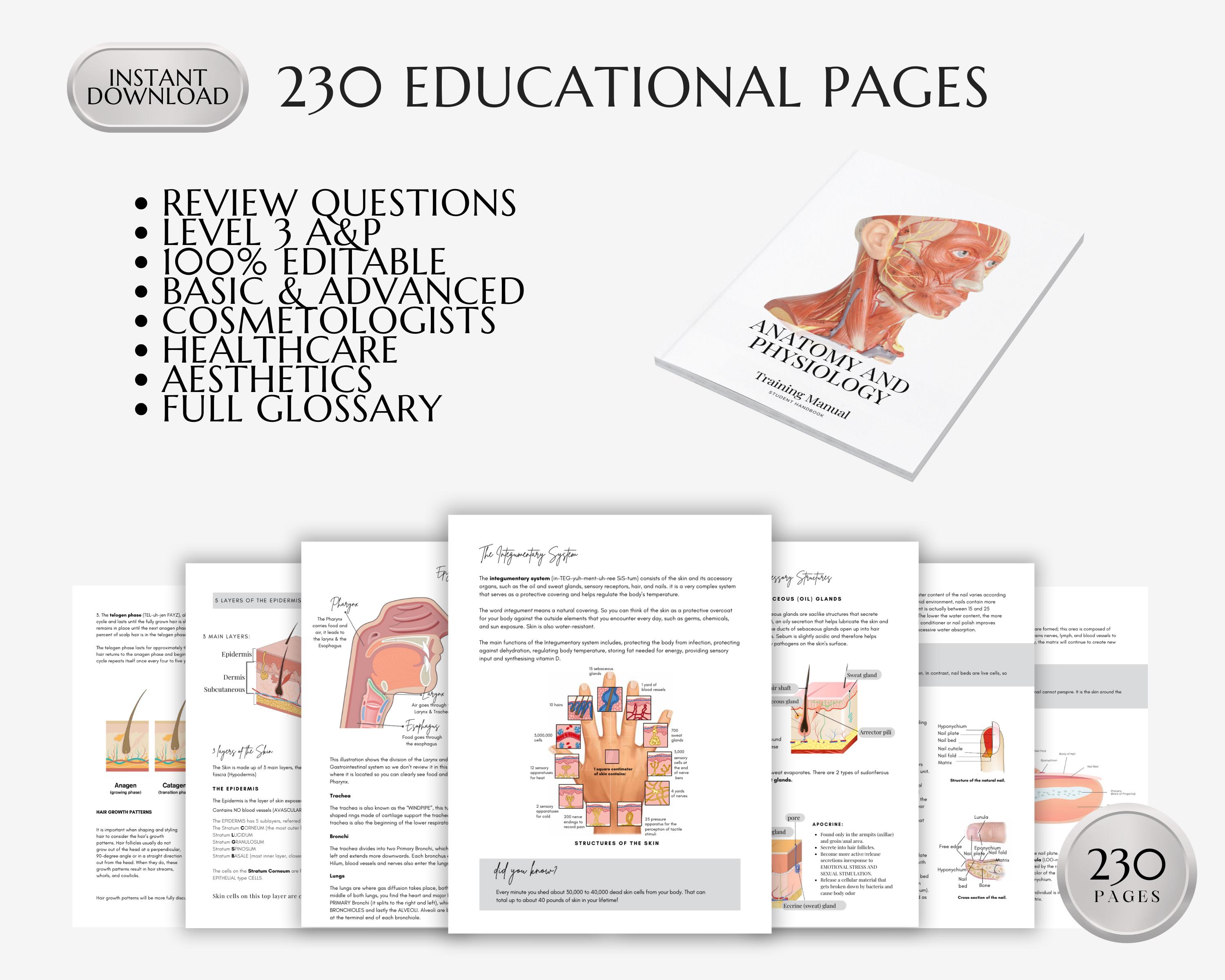 Anatomy and Physiology Training Manual, Editable A&P Course (digital ...