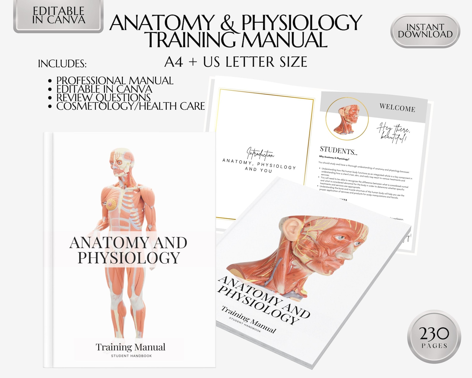 Anatomy Training Manual, Editable A&P Course, Anatomy and Physiology ...