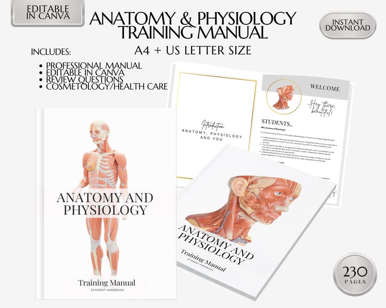 Anatomy Training Manual, Editable A&P Course, Anatomy and Physiology ...