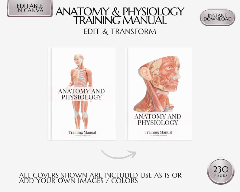 Anatomy and Physiology Training Manual, Editable A&P Course (digital ...