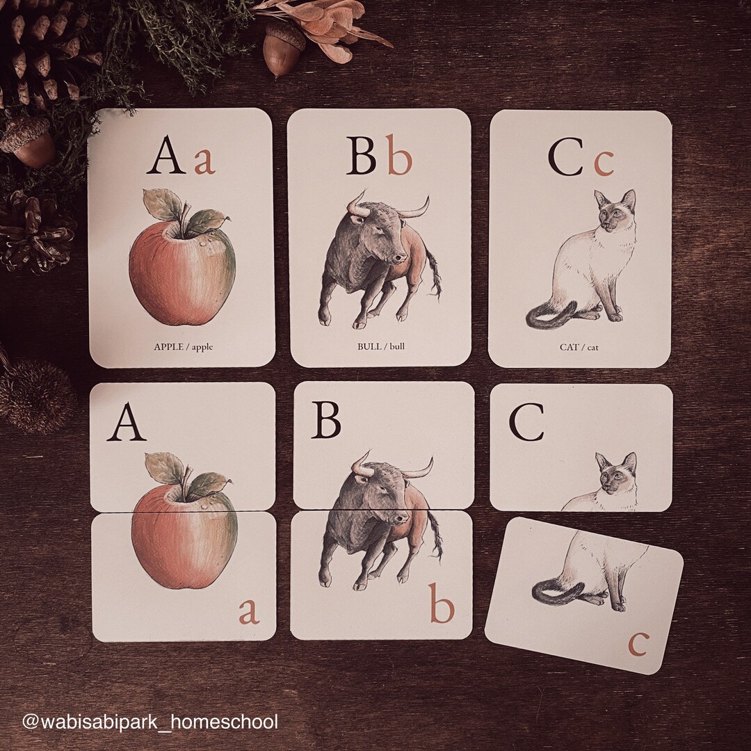 Alphabet Learning Cards - Etsy