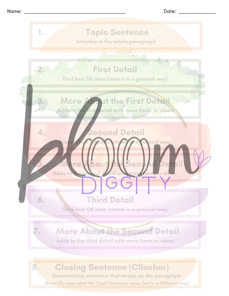 Paragraph Hamburger (visual Resource & Practice Worksheets) - Etsy