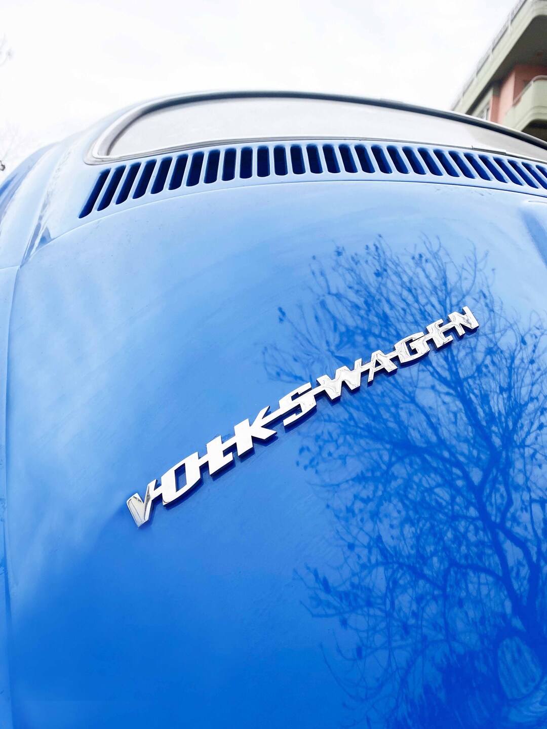 Volkswagen Chrome Badge Stainless 1100-1200-1300-1302-1303-type3 2-2009 ...