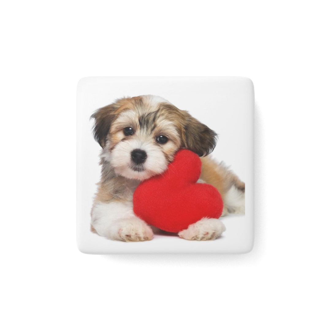 Cute Puppy Magnet, Dog Fridge Magnet, Dog Magnet, Animal Magnets ...