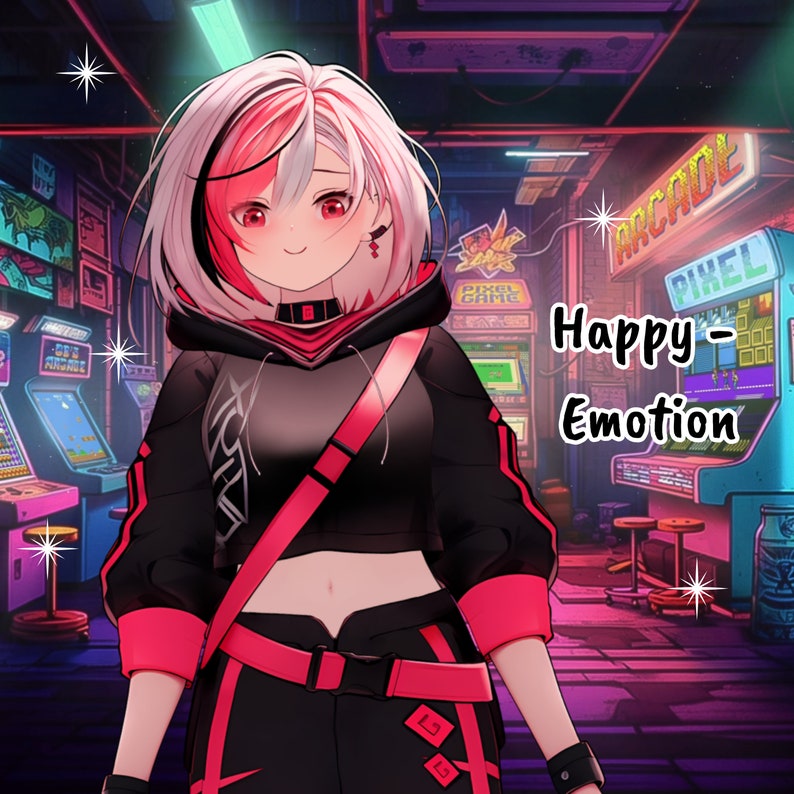 Vtuber Rina, the Ninja Girl 5 Emotions 1 Toggle Live2d Model for Vtube ...