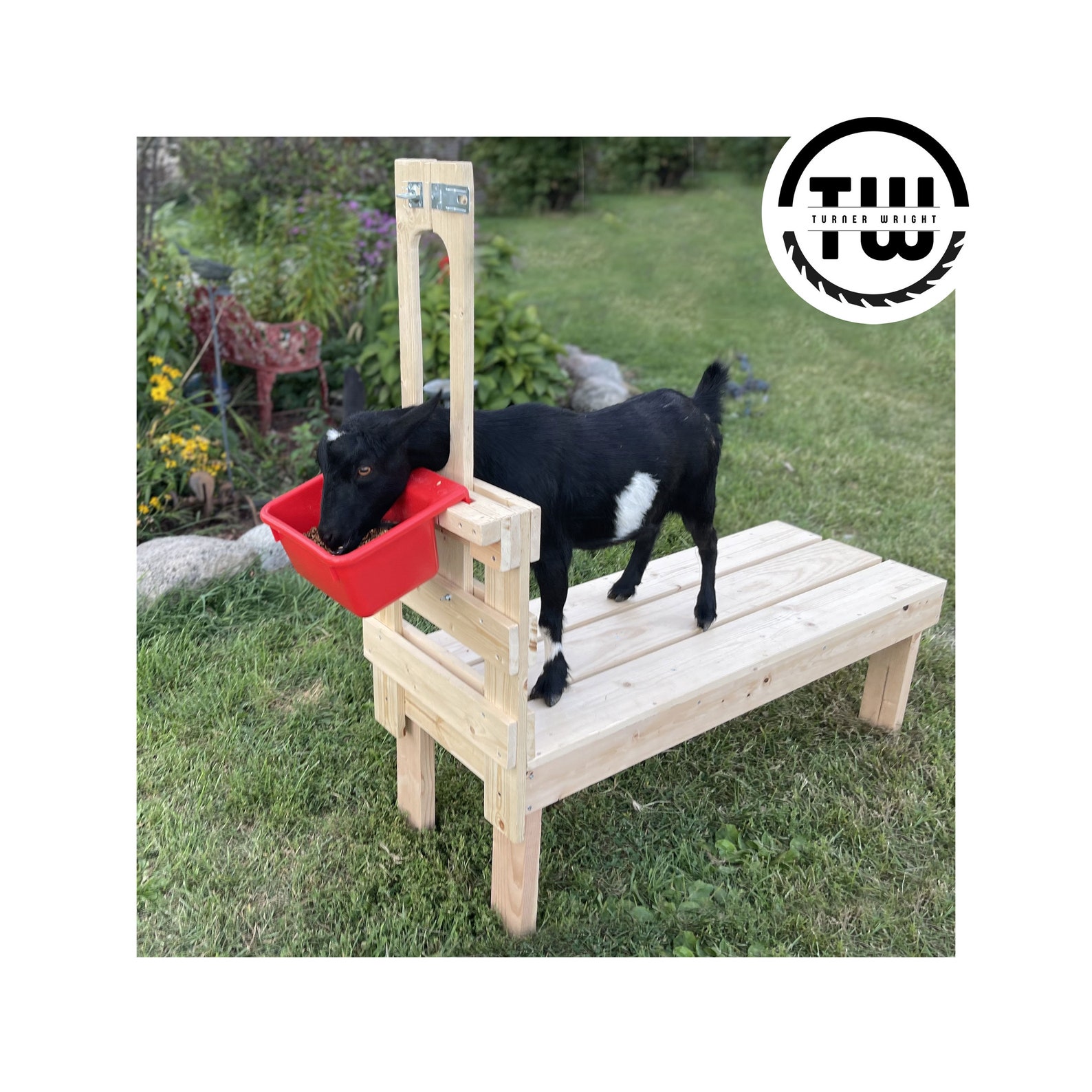 Sturdy and Highly Functional Handmade Goat Milking, Grooming, and ...