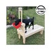 Sturdy and Highly Functional Handmade Goat Milking, Grooming, and ...