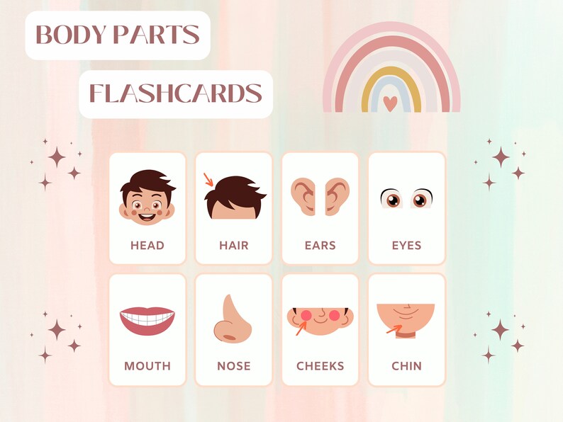 24 Flashcards Body Parts Cards Montessori Cards Pdf - Etsy