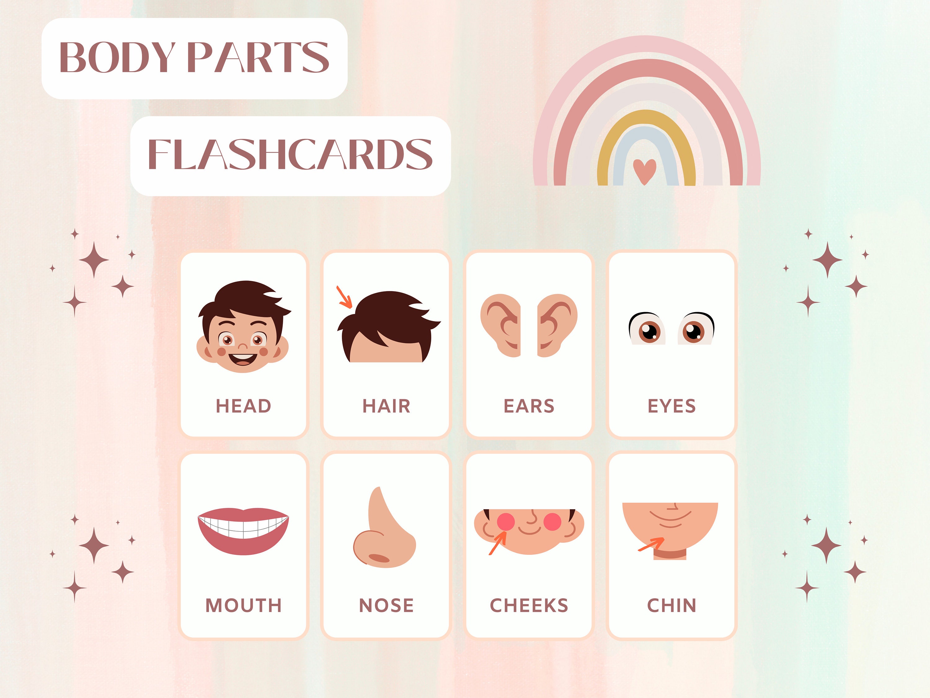 24 Flashcards Body Parts Cards Montessori Cards Pdf - Etsy