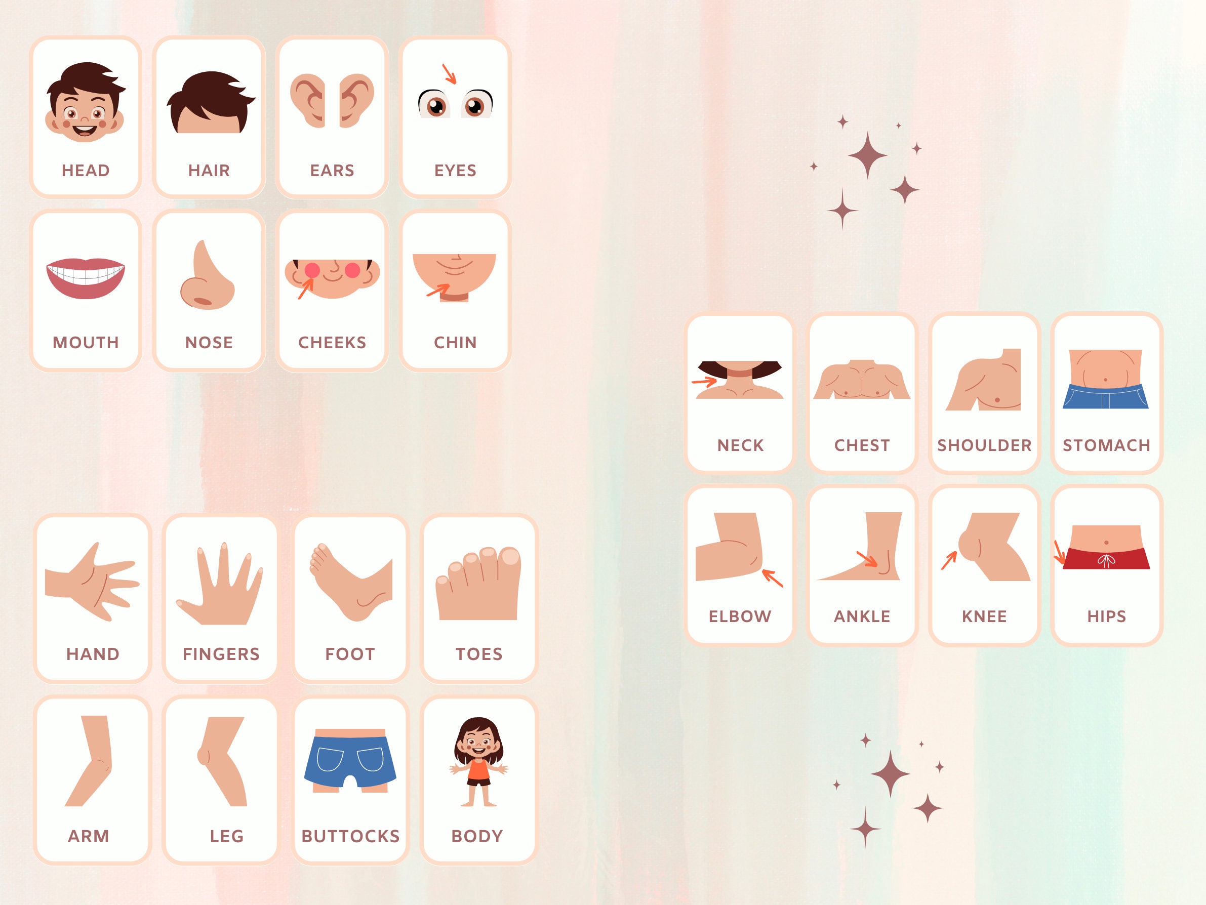 24 Flashcards Body Parts Cards Montessori Cards Pdf Printable Cards ...