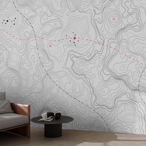 Topographic Topo Map Wallpaper, Black White Background Wall Mural ...