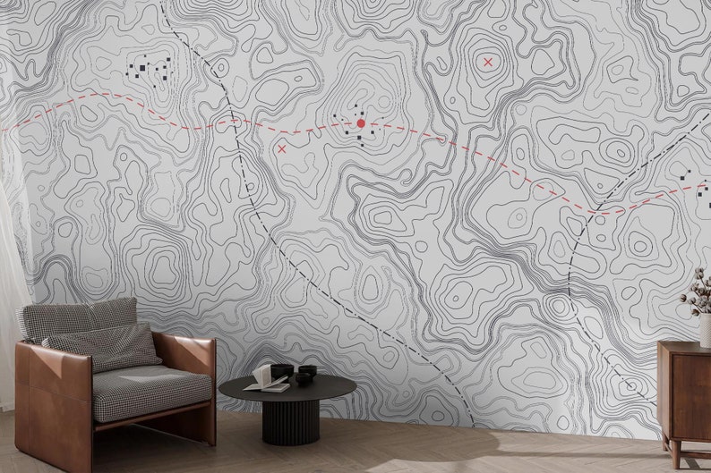 Topographic Topo Map Wallpaper, Black White Background Wall Mural ...