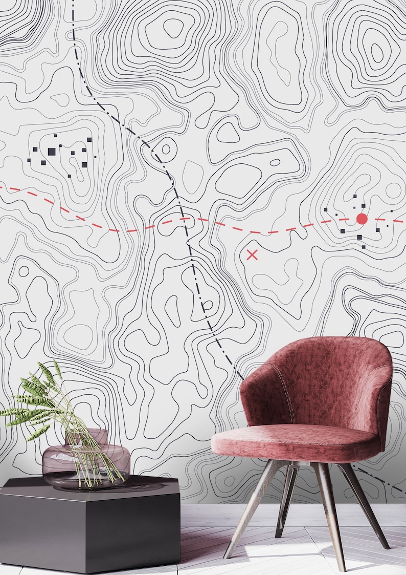 Topographic Topo Map Wallpaper, Black White Background Wall Mural ...