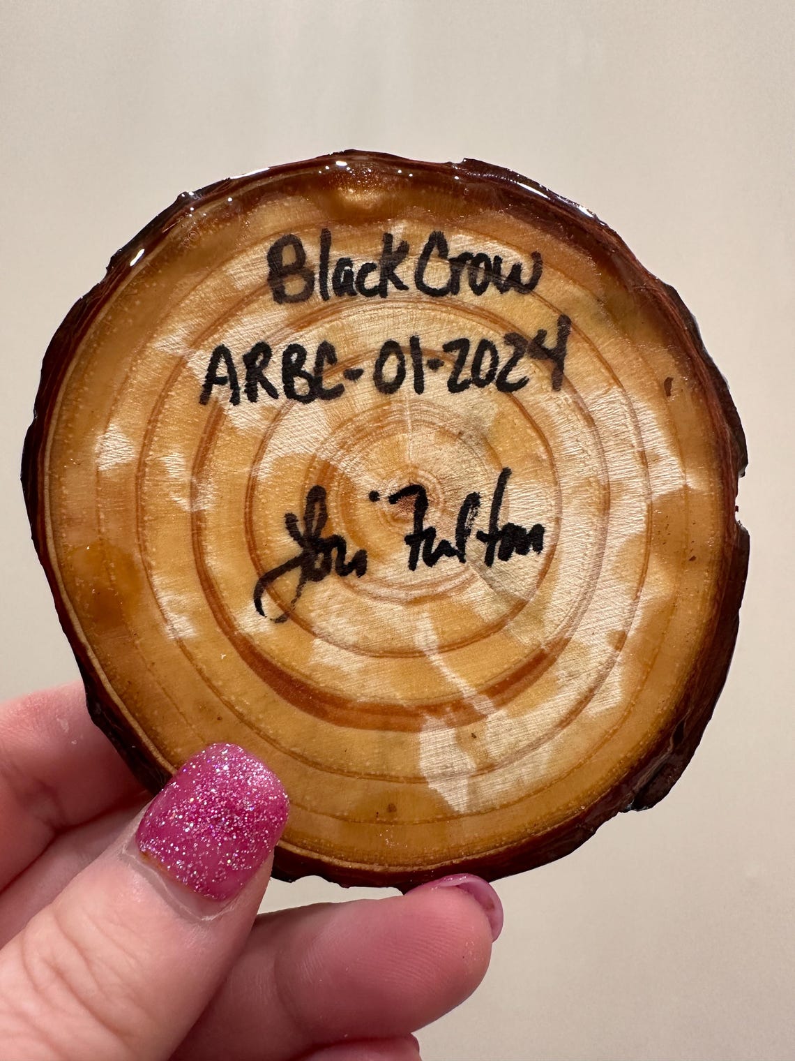 Hand-painted Crow Art: Rustic Wood Round With Resin Finish - Etsy