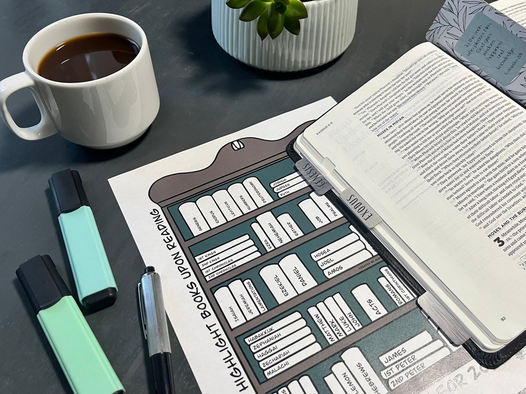 Bible in a Year Bookcase Study Aid | Fancy Bookcase Teal Gray - Etsy