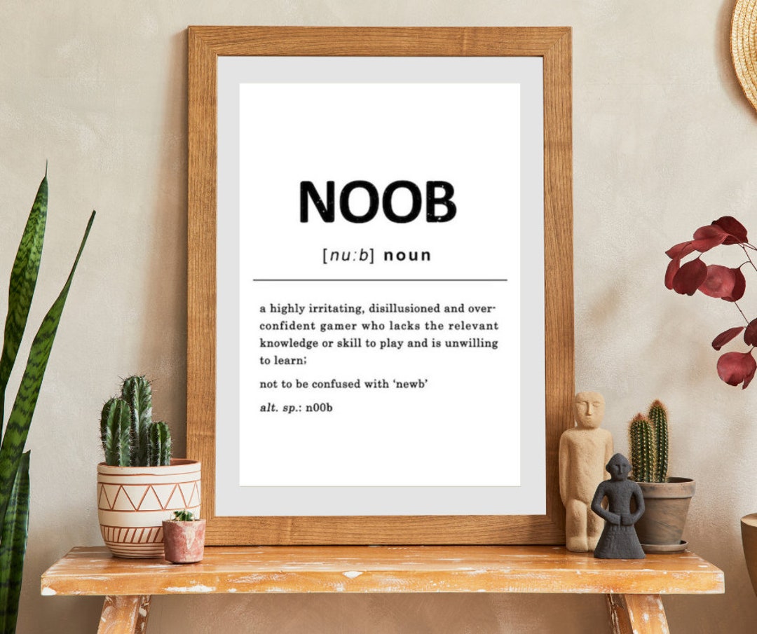 Noob Defined Digital Art | Gamer Lingo Printable | Geek Wall Decor - Etsy
