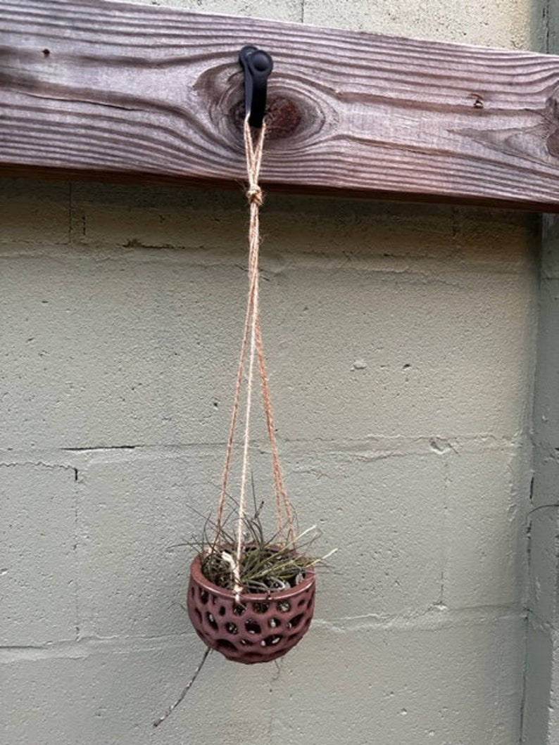 Orchid Planter With Rope Hanger - Etsy