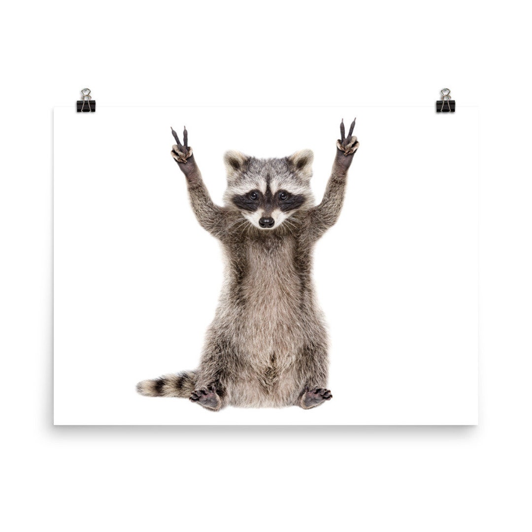 Raccoon Peace Sign Poster Funny Wall Art Cute Animal Trash Panda Kids ...