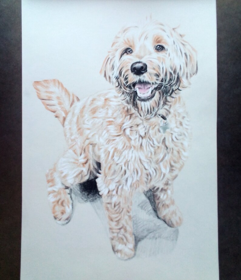 Custom Hand Drawn Pet Portraits - Etsy