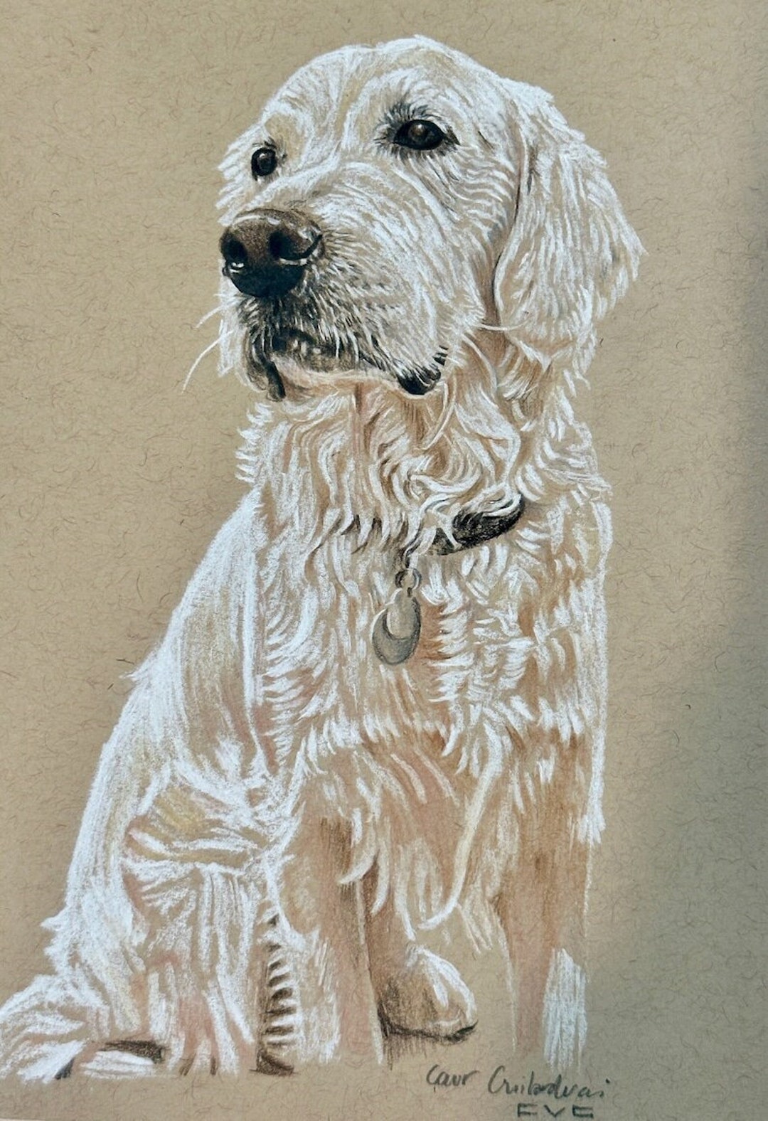 Custom Hand Drawn Pet Portraits - Etsy