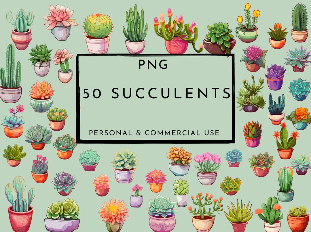 Succulent Sticker PNG Bundle 50 Plant Stickers Designs - Etsy
