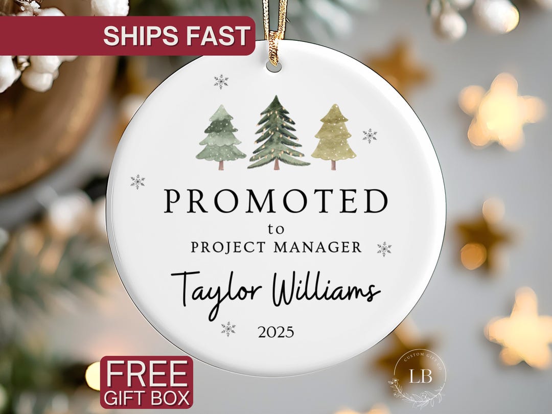 Personalized Promotion Ornament, Custom Job Promotion Gift, Job ...