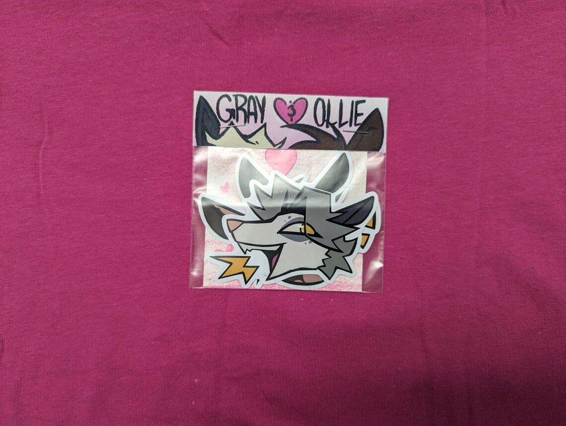 Ollie & Gray OC Stickers 2 Stickers Matte Vinyl Capybara Opossum - Etsy