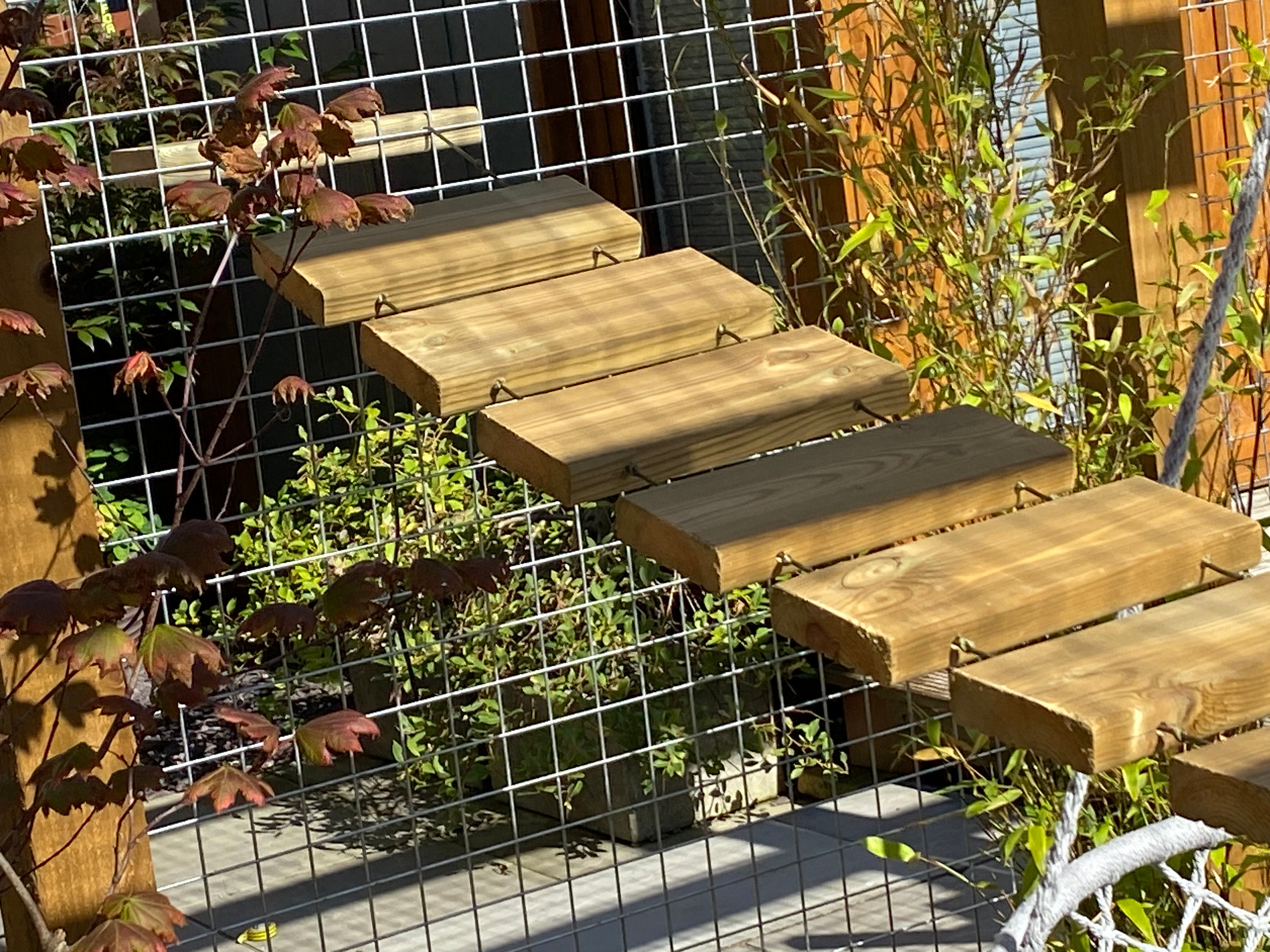 Bespoke Cat Ladders Price Shown is for 50cm of the Thin Batten Ladder ...