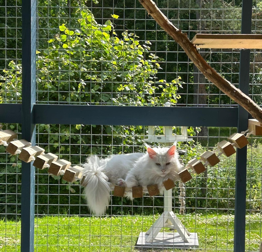 Bespoke Cat Ladders Price Shown is for 50cm of the Thin Batten Ladder ...