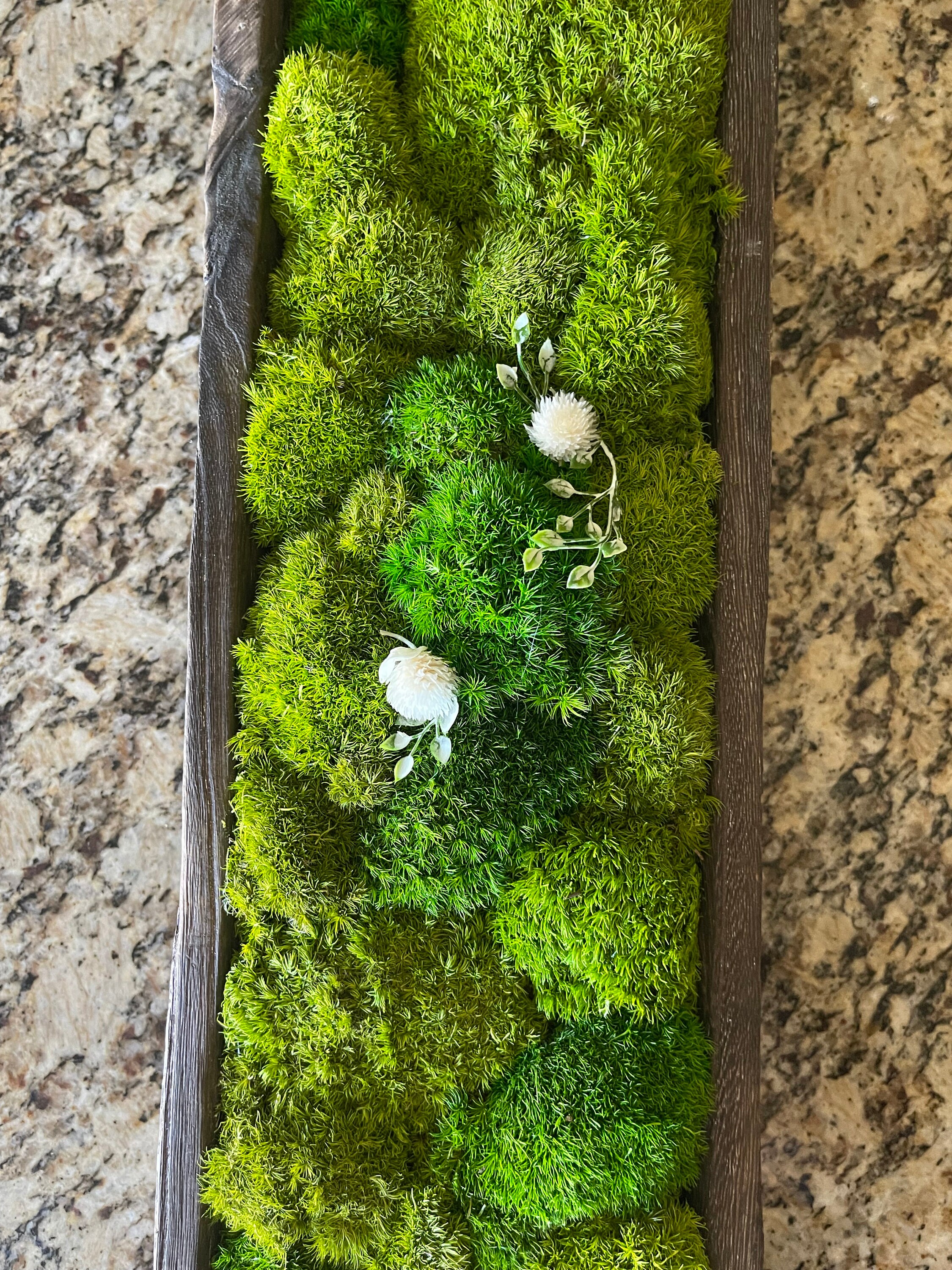 Large Moss Filled Trough - Etsy