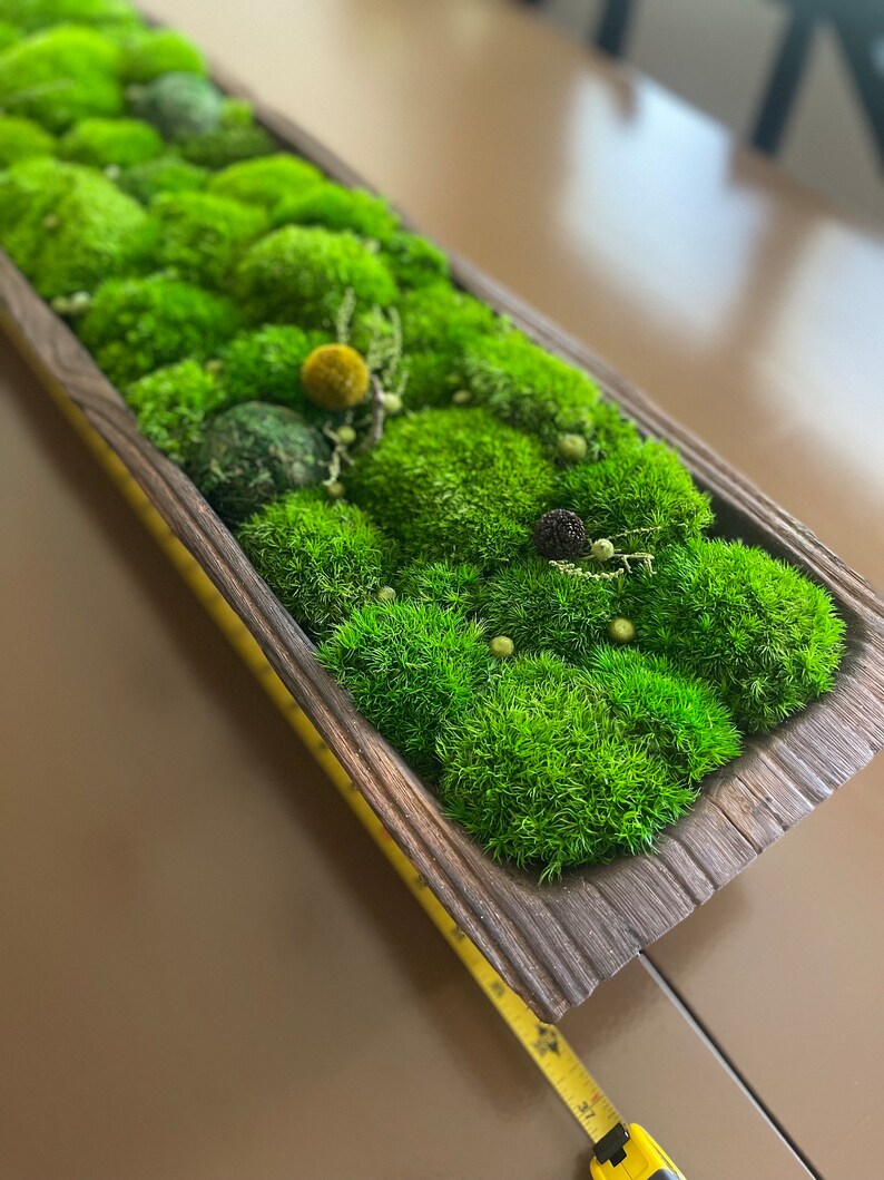 Large Moss Filled Trough - Etsy