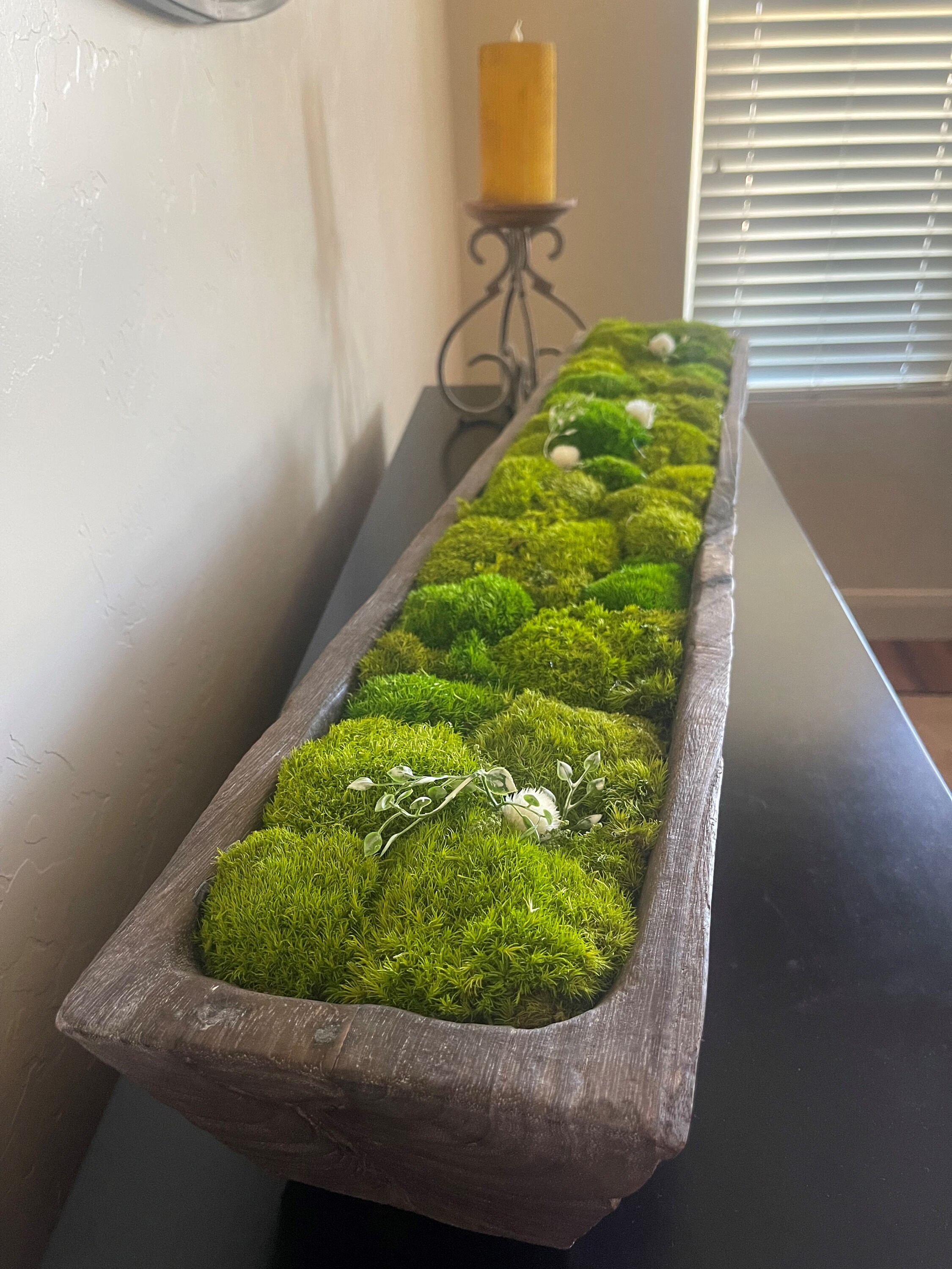 Large Moss Filled Trough - Etsy