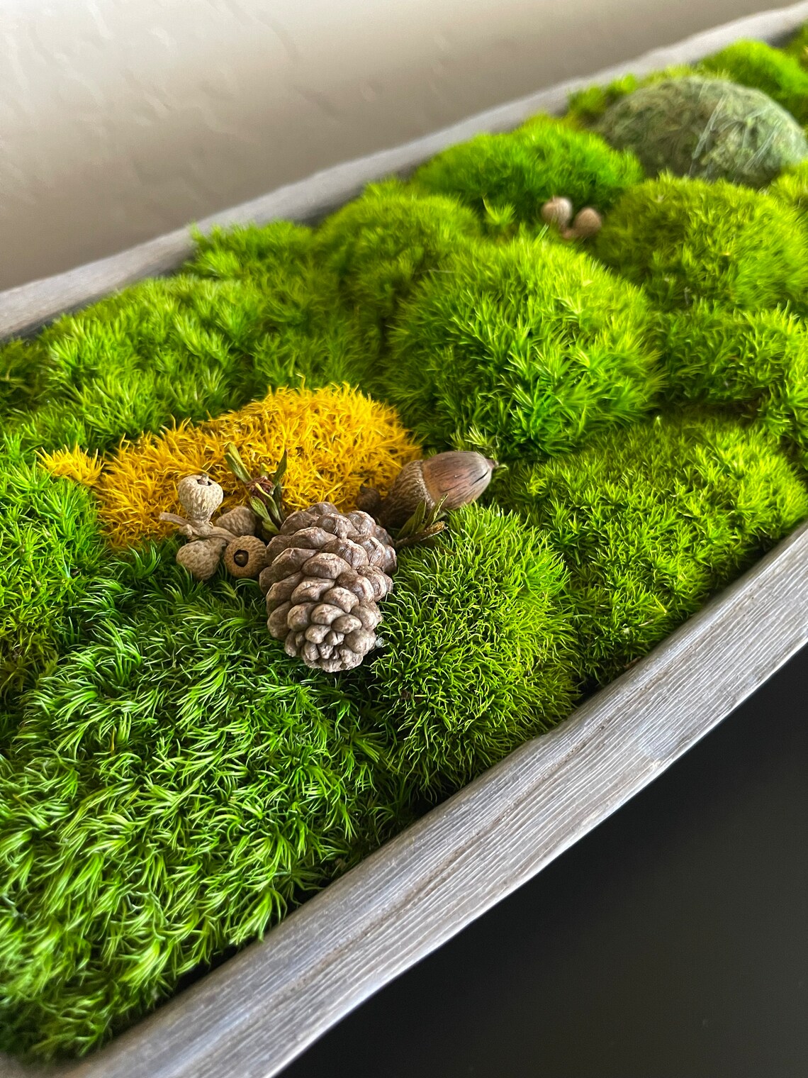 Large Moss Filled Trough - Etsy