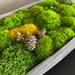 Large Moss Filled Trough - Etsy