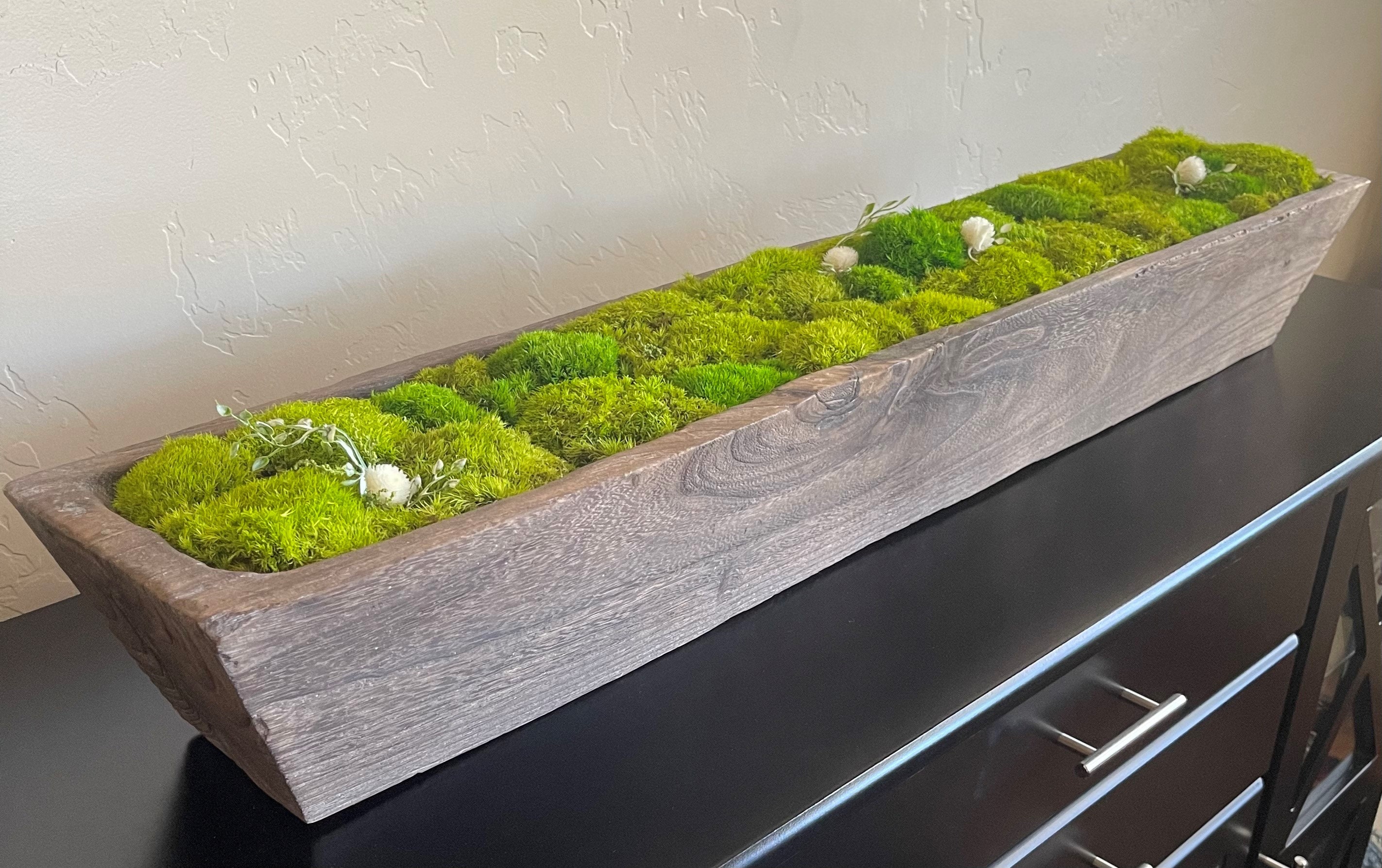 Large Moss Filled Trough - Etsy
