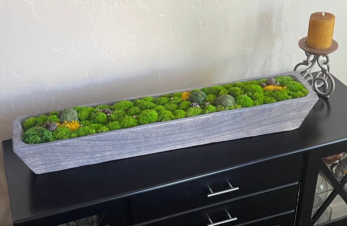 Large Moss Filled Trough - Etsy