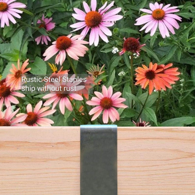 Rustic Steel Garden Edging Staples: Use With 2x Lumber - Etsy