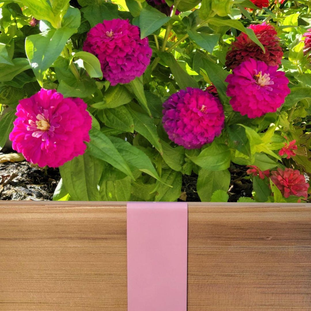 Rose Pink Garden Edging Staples: 16 Gauge Steel Lumber Border - Etsy