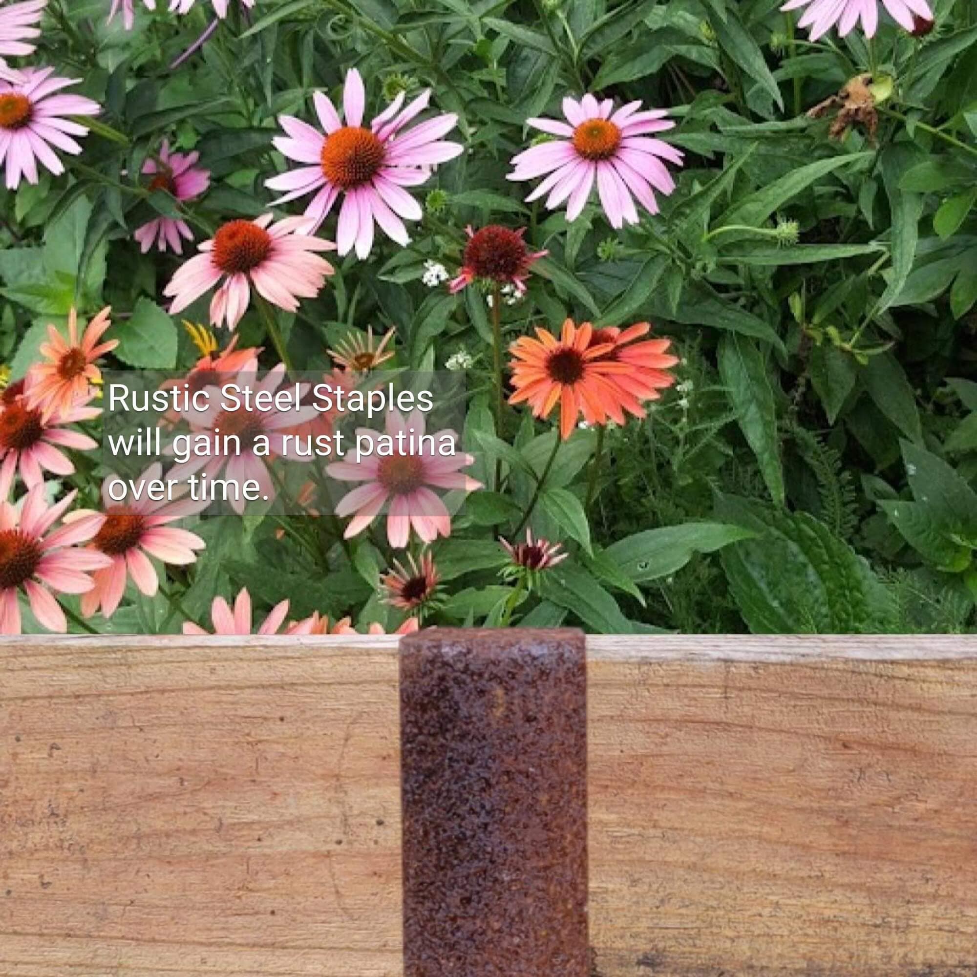 Rustic Steel Garden Edging Staples: Use With 2x Lumber - Etsy