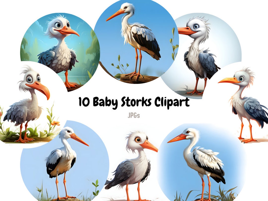 10 Baby Stork Clipart, Watercolor Stork Clipart, Cute Stork, Animal ...