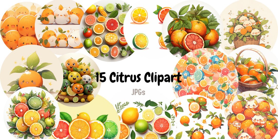 15 Citrus Clipart, Citrus Set, Fruit Clipart, Orange, Lemon, Citrus ...