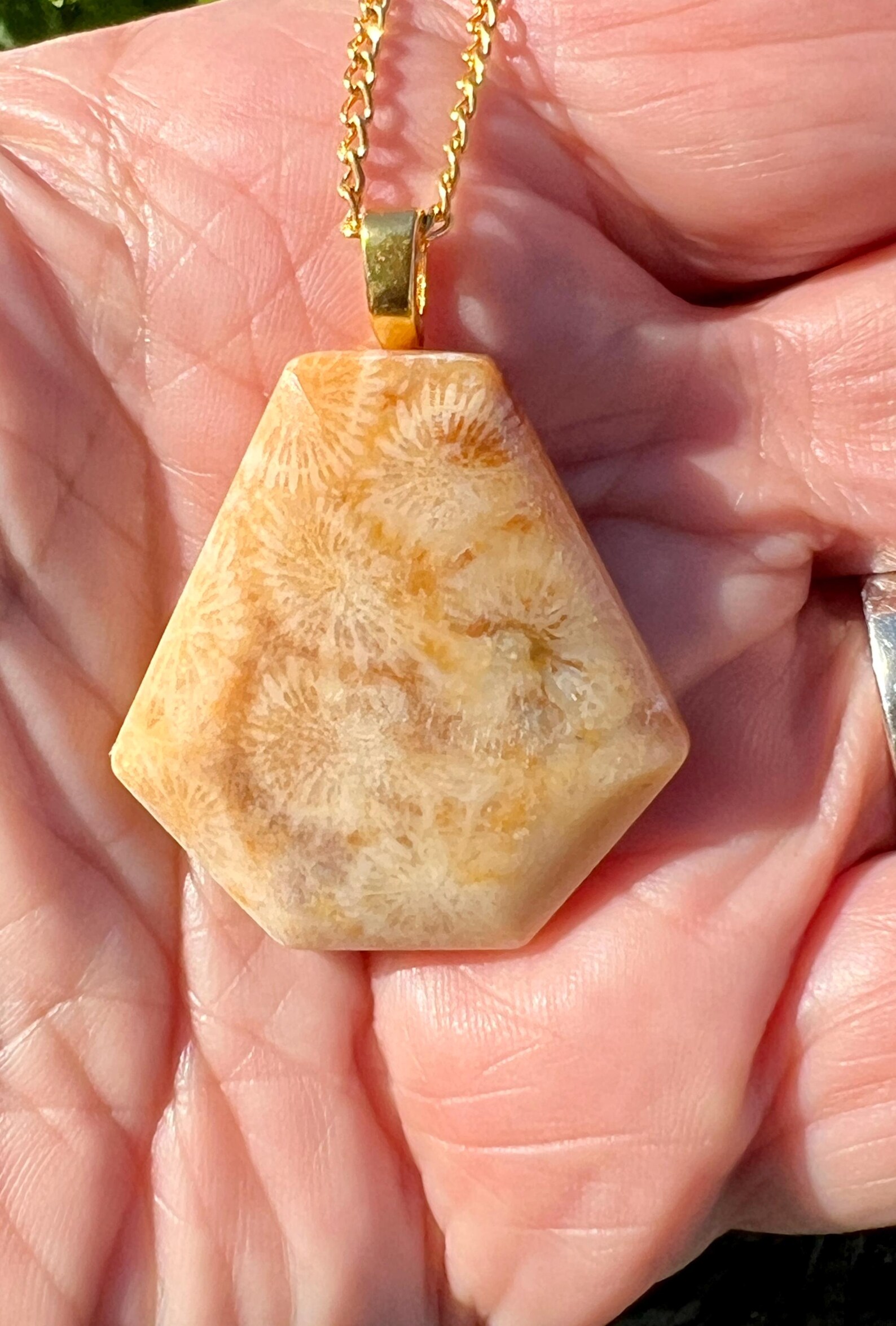 Petrified Coral Hexagon Pendant Necklace - Etsy